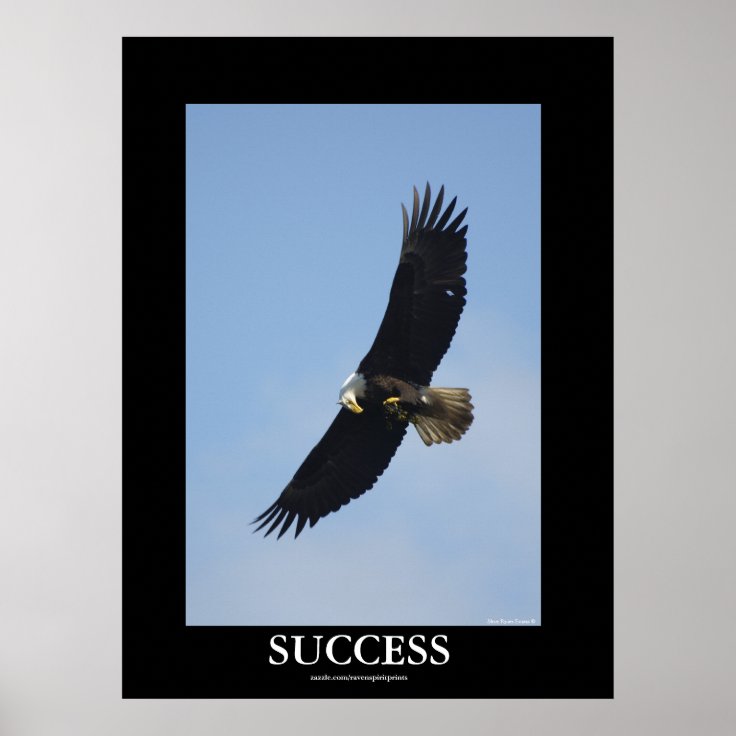 SUCCESS Bald Eagle Motivational Poster | Zazzle