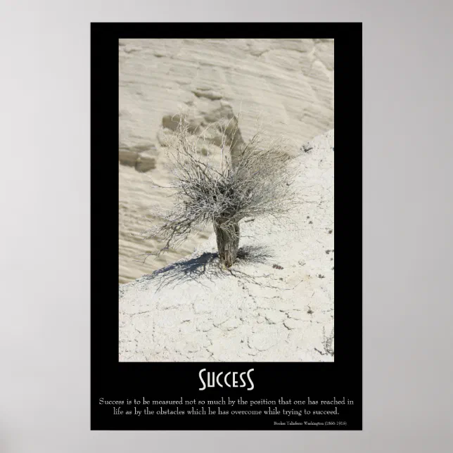 Success Poster | Zazzle