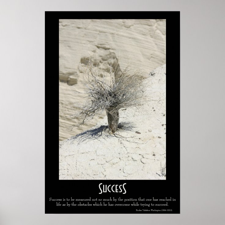 Success Poster | Zazzle