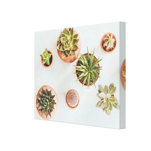 Succulent Artwork Canvas Print | Zazzle