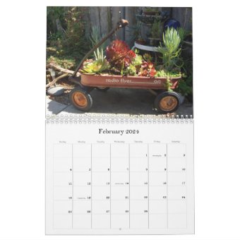 Succulent Calendar | Zazzle
