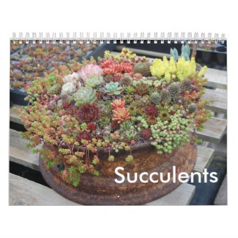 Succulent Calendar | Zazzle