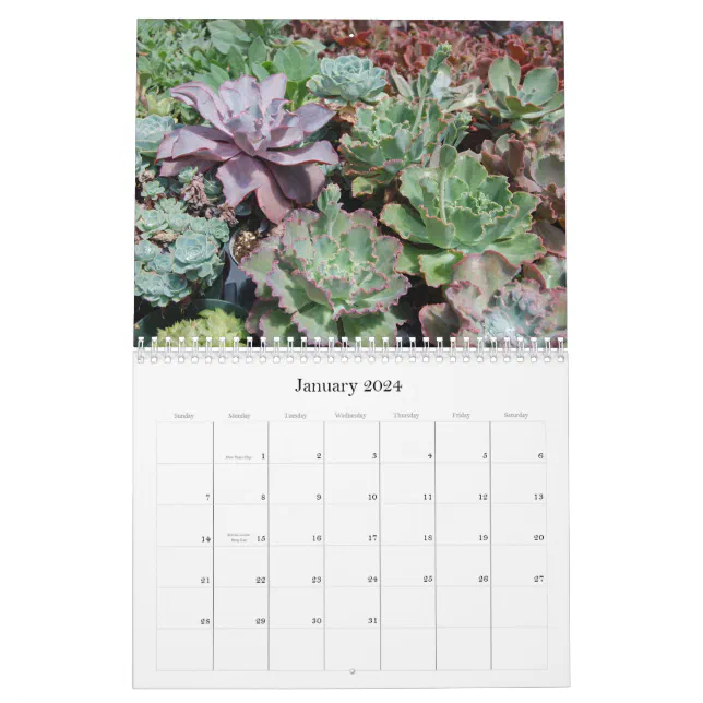 Succulent Calendar | Zazzle