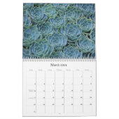 Succulent Calendar | Zazzle