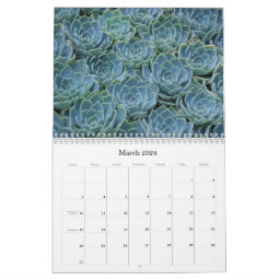 Succulent Calendar | Zazzle