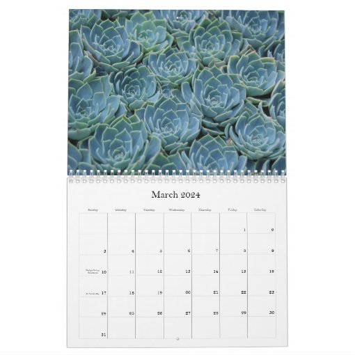 Succulent Calendar | Zazzle