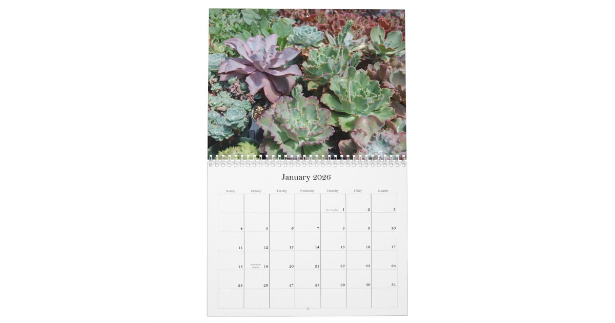 Succulent Calendar | Zazzle