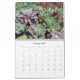Succulent Calendar | Zazzle