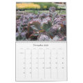 Succulent Calendar | Zazzle