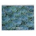Succulent Calendar | Zazzle