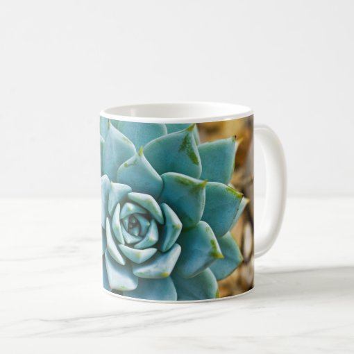 Succulent Coffee Mug | Zazzle