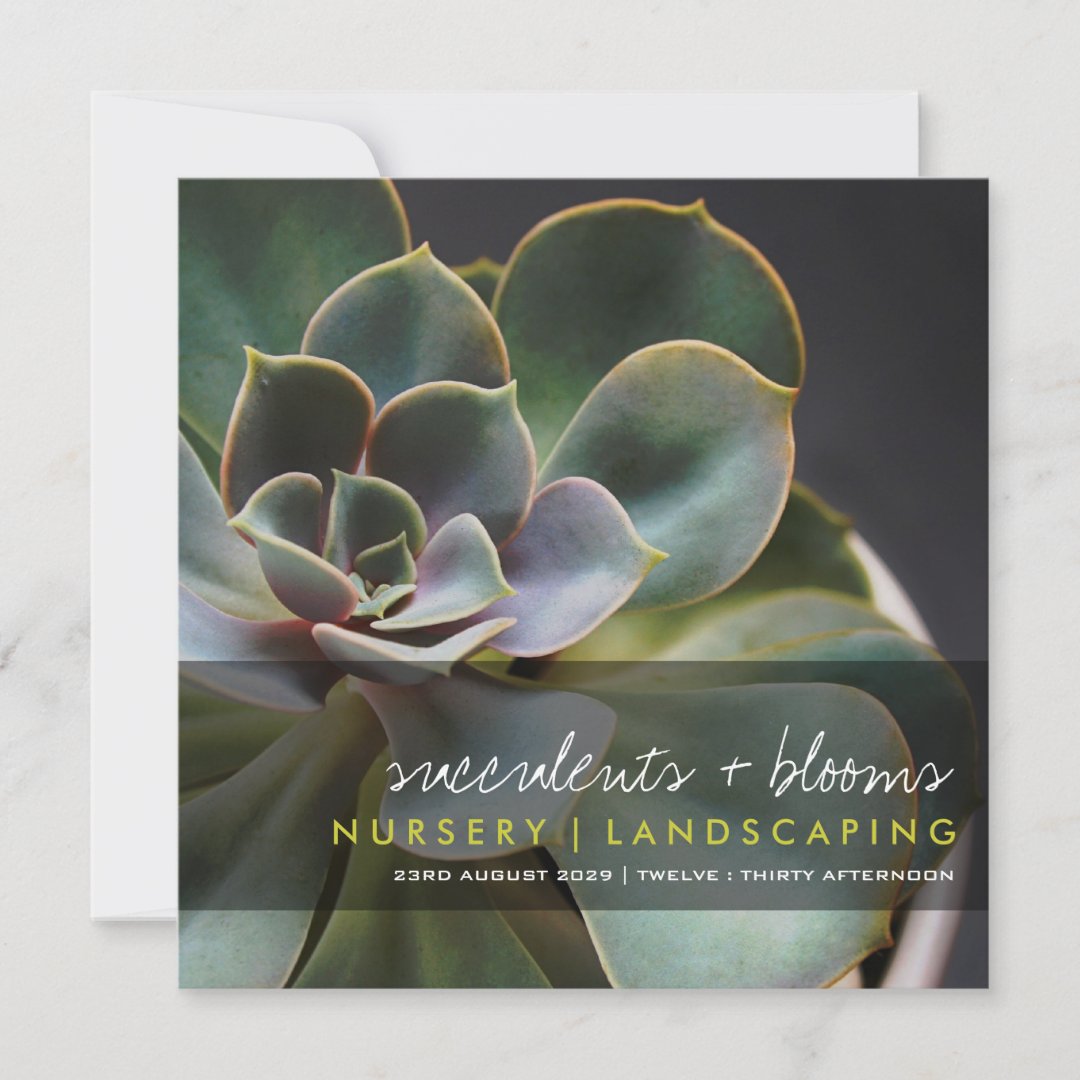 Succulent Flower Plant Photo Modern Garden Party Invitation | Zazzle