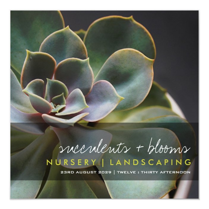 Succulent Flower Plant Photo Modern Garden Party Invitation | Zazzle.com