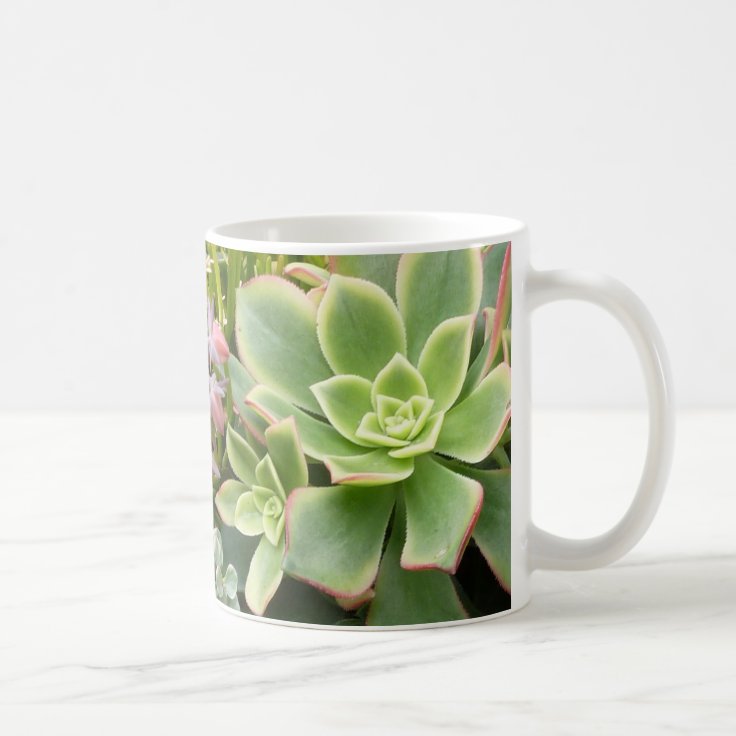 Succulent garden mug | Zazzle