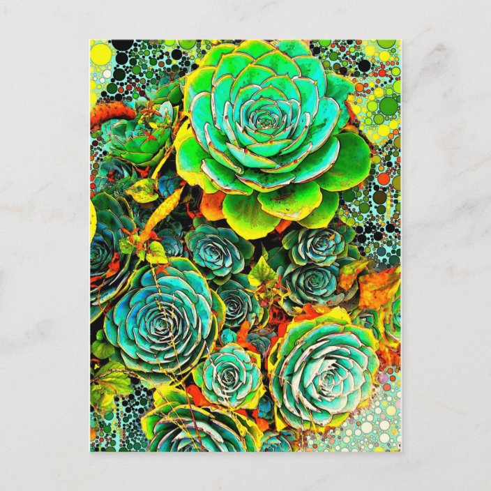 Succulent Garden Pop Art Postcard | Zazzle