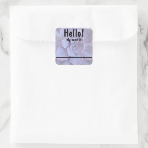 Succulent Name tag Stickers | Zazzle