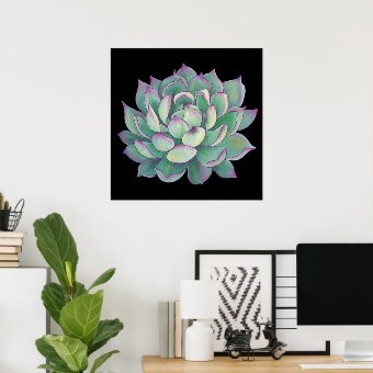 Succulent plant poster | Zazzle