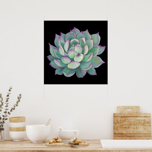 Succulent plant poster | Zazzle