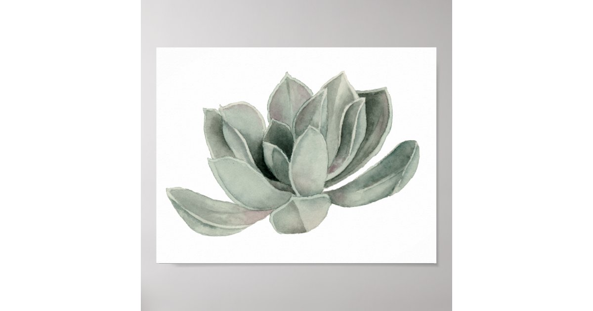 Succulent Plant Watercolor Painting Poster | Zazzle