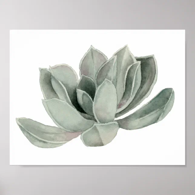 Succulent Plant Watercolor Painting Poster | Zazzle