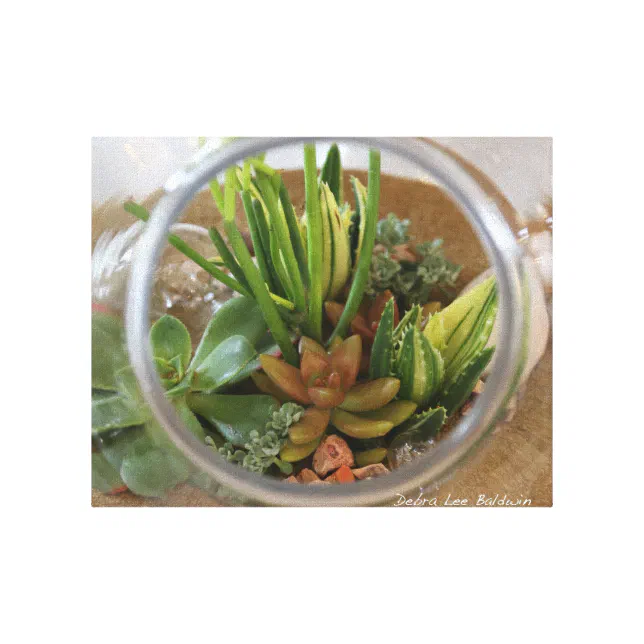 Succulent Terrarium Poster by Debra Lee Baldwin Canvas Print | Zazzle