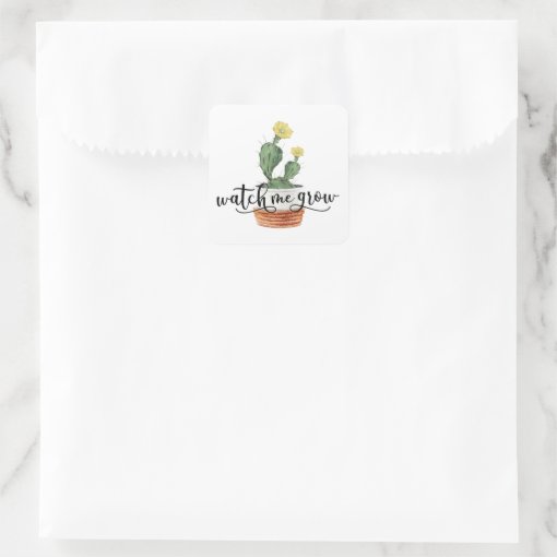 Succulent Watch Me Grow Sticker | Zazzle