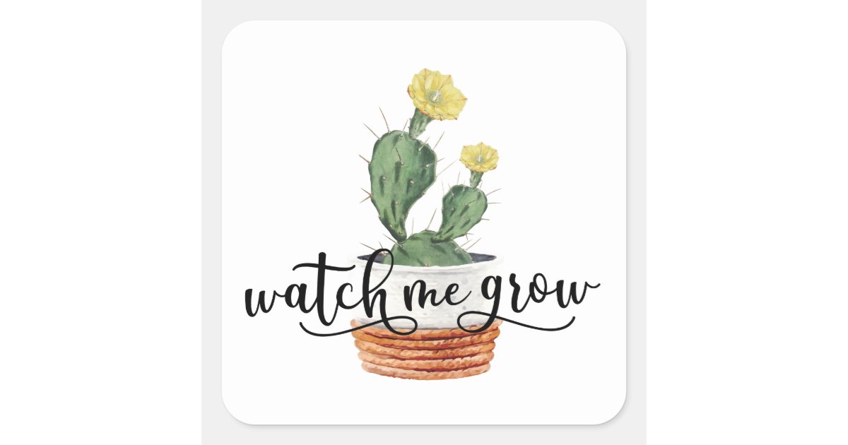 Succulent Watch Me Grow Sticker | Zazzle