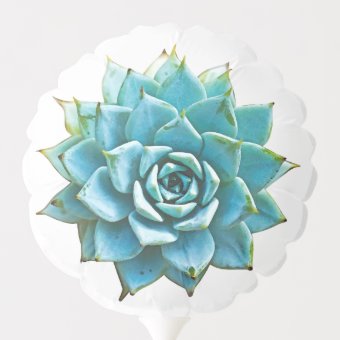 Succulent Watercolor Balloon | Zazzle