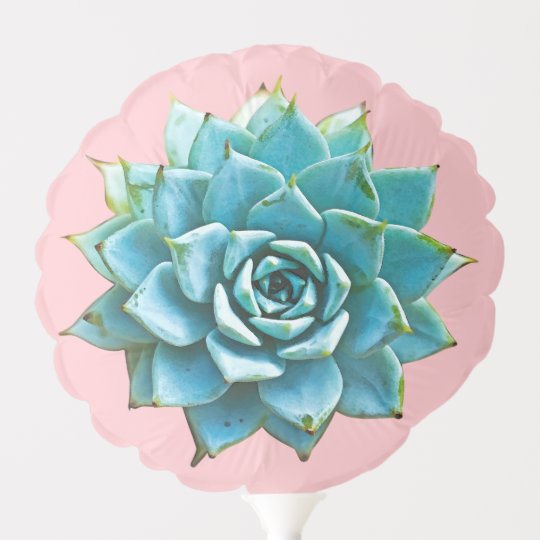 Succulent Watercolor on Baby Pink Balloon | Zazzle.com