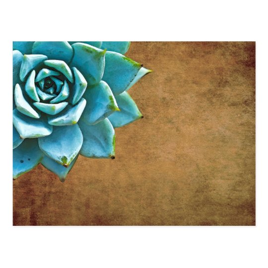 Succulent Watercolor Rustic Brown Postcard | Zazzle.com