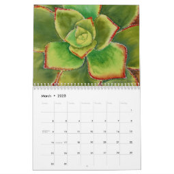 Succulents 2012 Watercolor Calendar | Zazzle