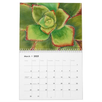 Succulents 2012 Watercolor Calendar | Zazzle