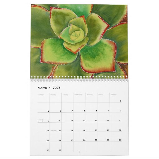 Succulents 2012 Watercolor Calendar | Zazzle