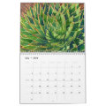 Succulents 2012 Watercolor Calendar | Zazzle