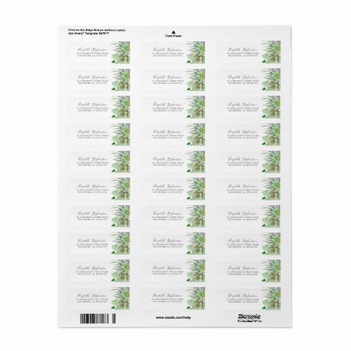 Succulents Greenery Modern Label | Zazzle