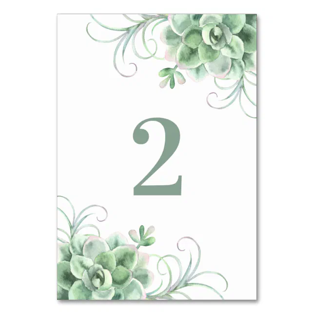Succulents wedding. Green cactus. Watercolor cacti Table Number | Zazzle