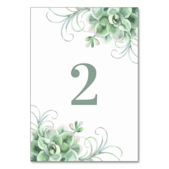 Succulents wedding. Green cactus. Watercolor cacti Table Number | Zazzle