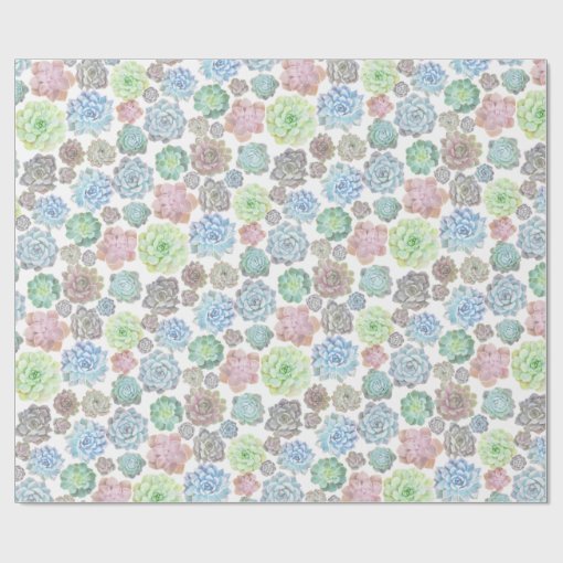 Succulents wrapping paper | Zazzle