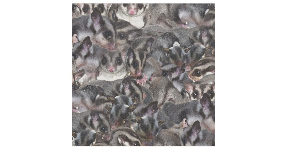 Sugar Glider Collage. Fabric | Zazzle