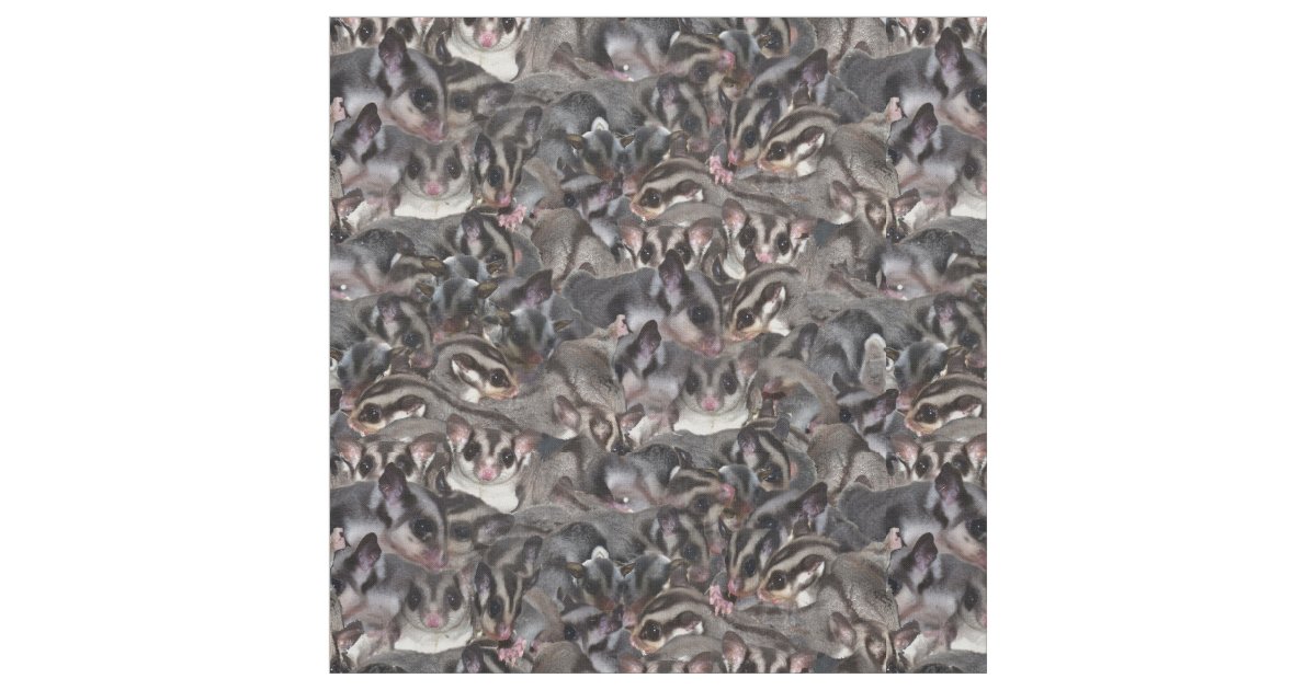 Sugar Glider Collage. Fabric | Zazzle