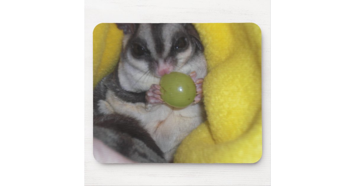 sugar glider mouse mouse pad | Zazzle