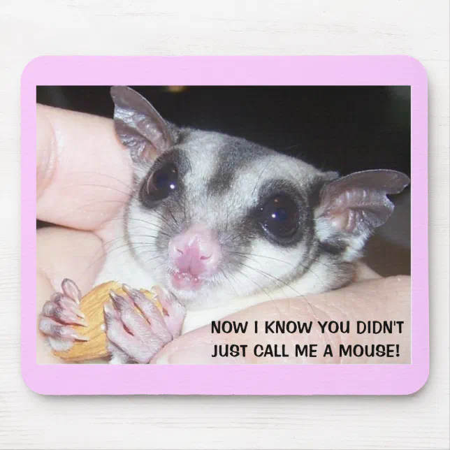 Sugar Glider Mousepad | Zazzle