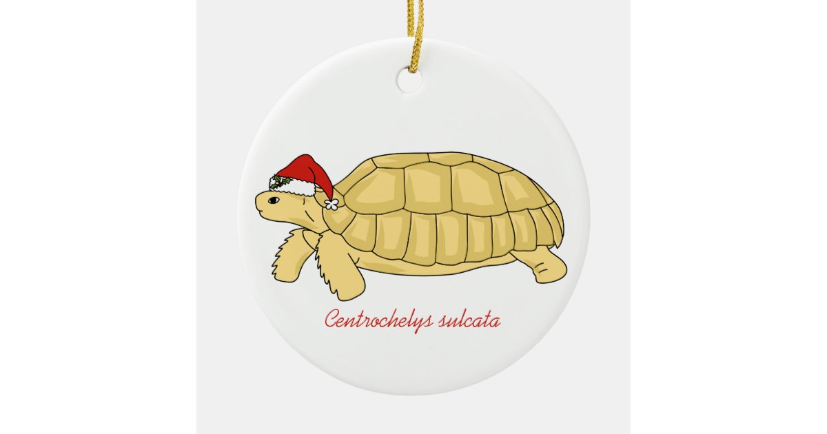Sulcata Tortoise Christmas Ornament | Zazzle