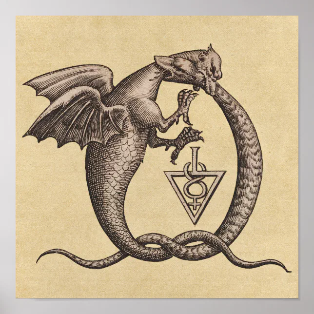 Sulfur & Mercury Alchemy Dragon Symbol Poster | Zazzle