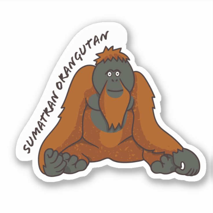 "Sumatran Orangutan" Sticker | Zazzle