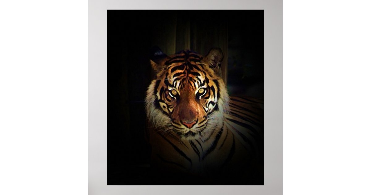 Sumatran Tiger Poster Print | Zazzle