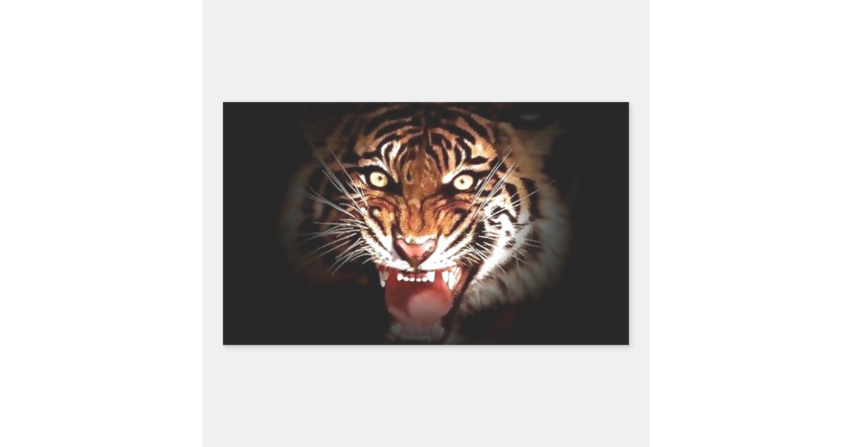 Sumatran Tiger Rectangular Sticker | Zazzle