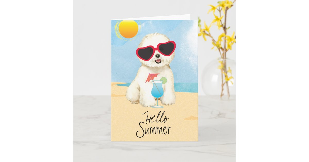 Summer Bichon Frise Card | Zazzle
