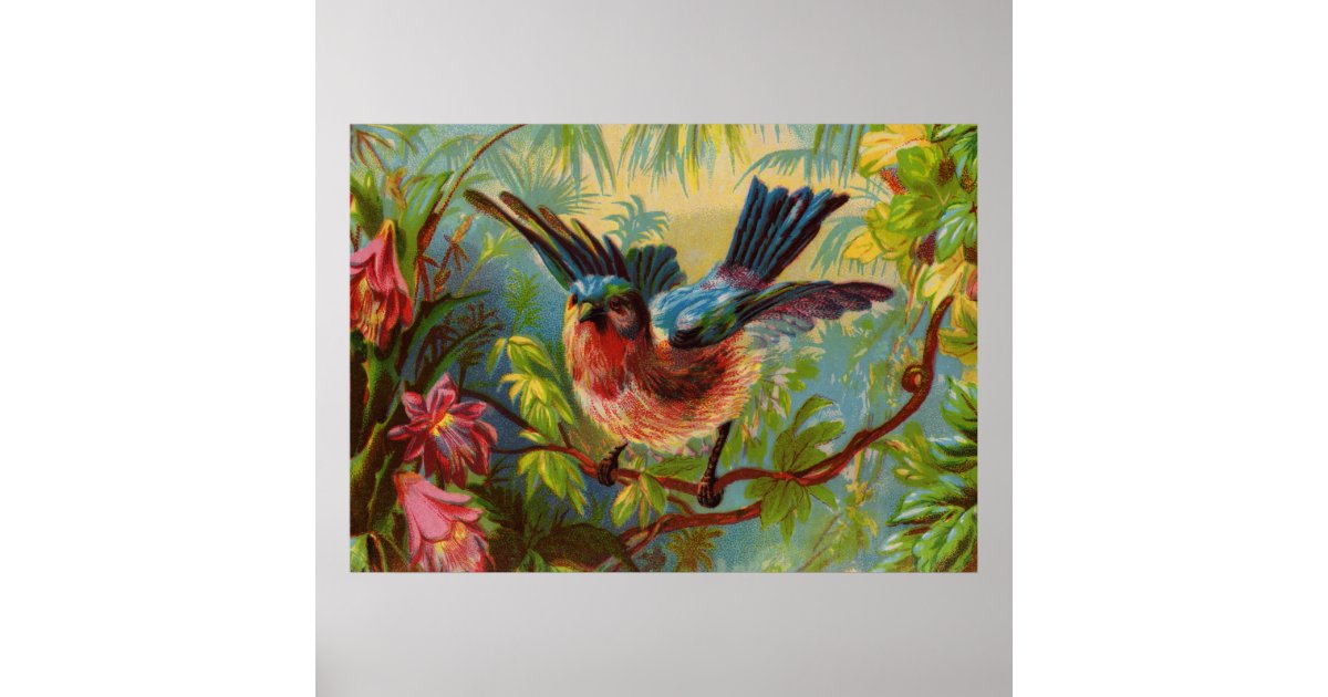 Summer Bluebird Medium Poster | Zazzle