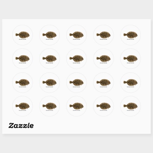 Summer Flounder Classic Round Sticker | Zazzle